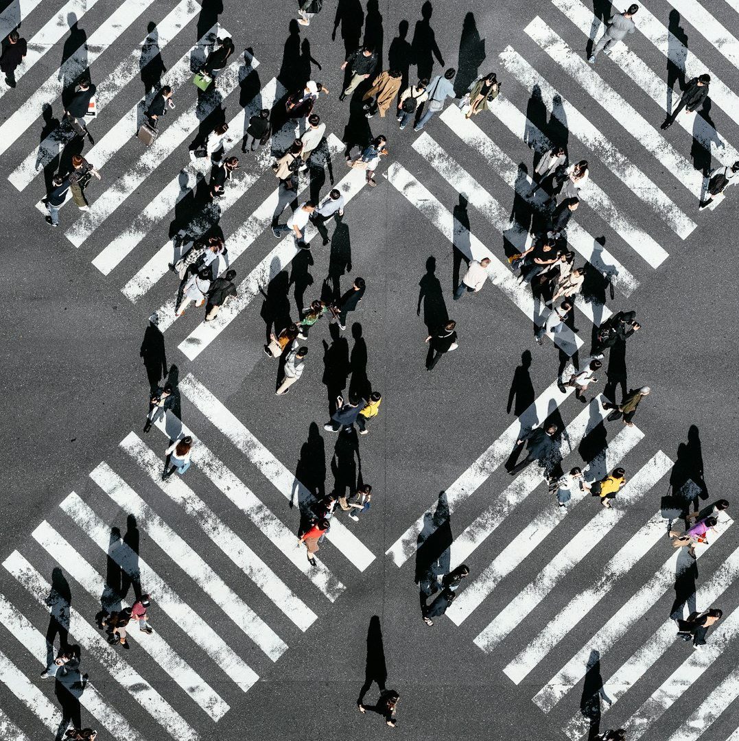 Revolutionising Advertising – Kaimai